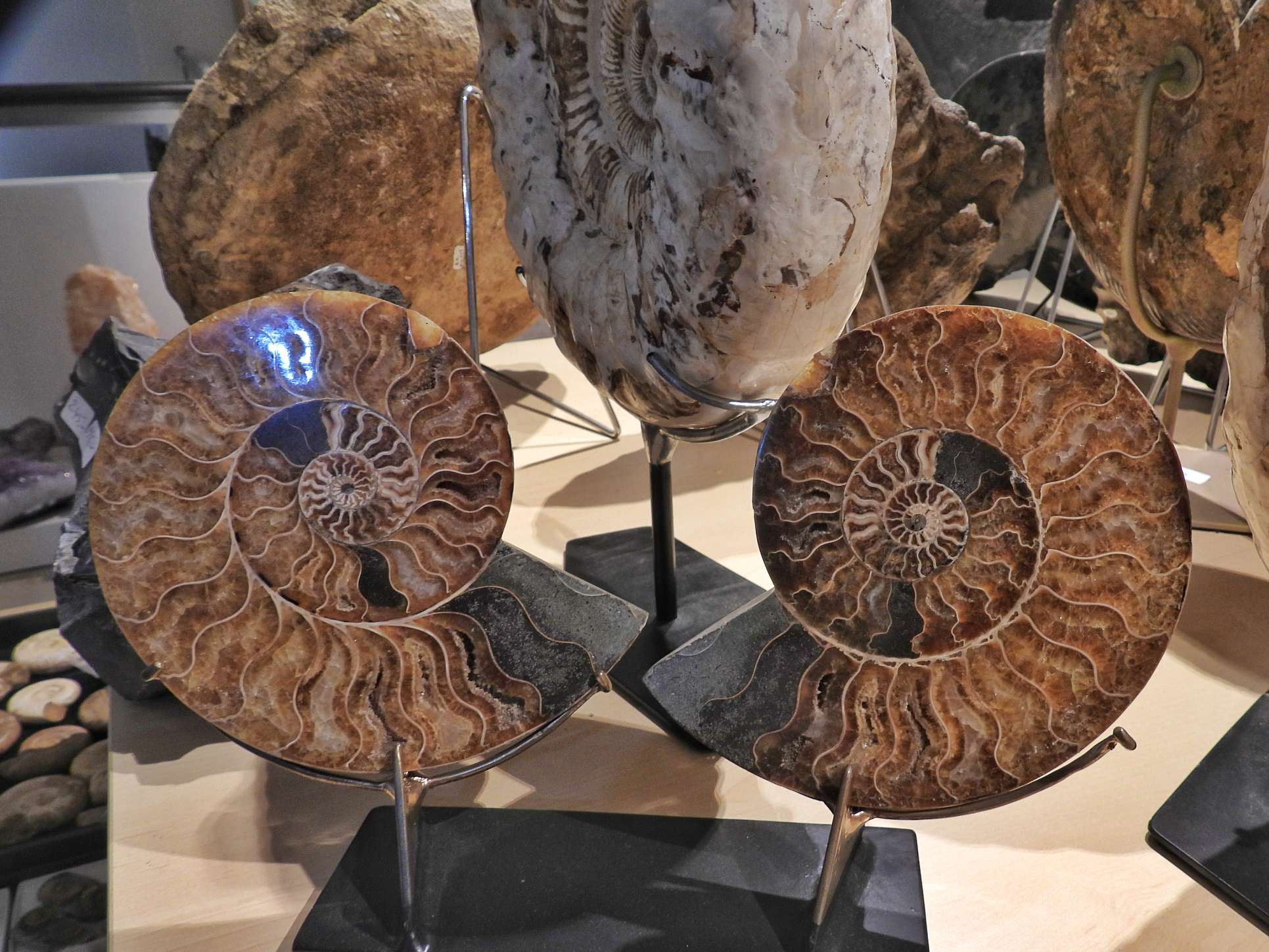 Dwars door Duitsland 2023-18/21 - Camper NO-MAD